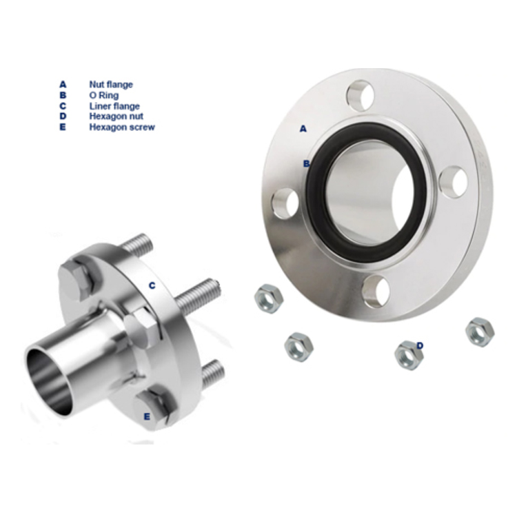 Hygienic Aseptic Flange Union for Sterile Orbital Welding from China ...